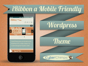 [破解版/Nulled]CyberChimps – iRibbon Pro免费下载，已激活 WordPress 主题_芒果运营