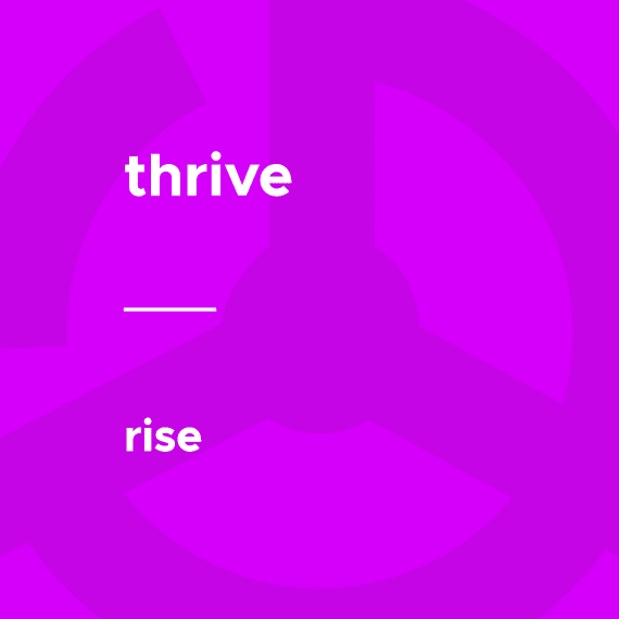[破解版/Nulled]Thrive Themes – Rise免费下载，已激活 WordPress 主题_芒果运营