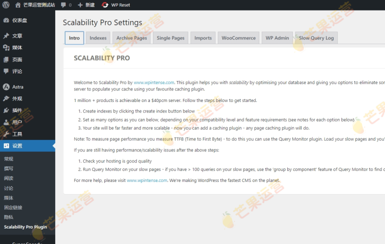 Scalability Pro v.6.16 网站优化插件下载_芒果运营