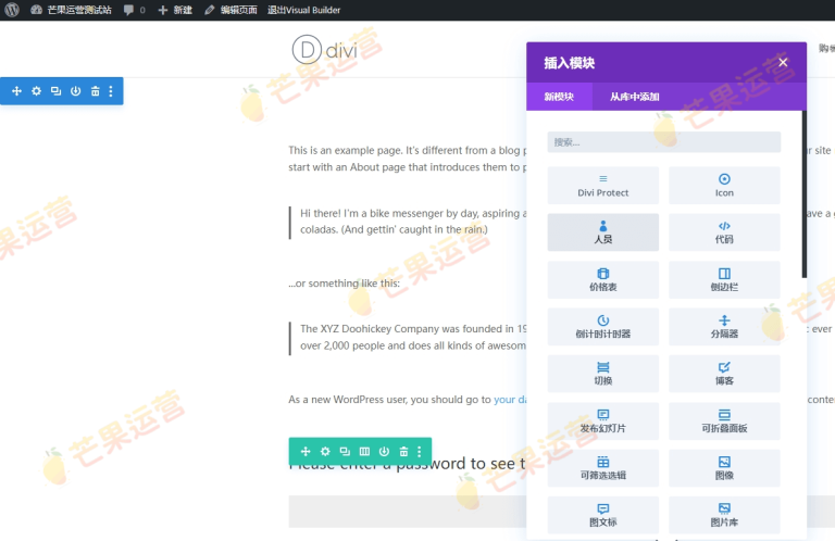 Divi Protect v2.3.0 – 使用 Divi Protect 插件密码保护Divi中部分内容插件下载_芒果运营